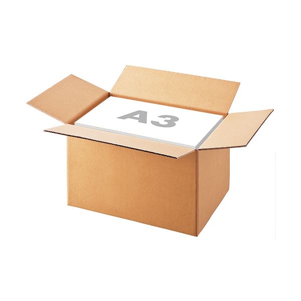 充実の品 （まとめ）TANOSEE 無地ダンボール箱 A3（L）サイズ 高さ295mm 1パック（10枚） 5セット 筆記具 - www.viacaocatedral.com.br